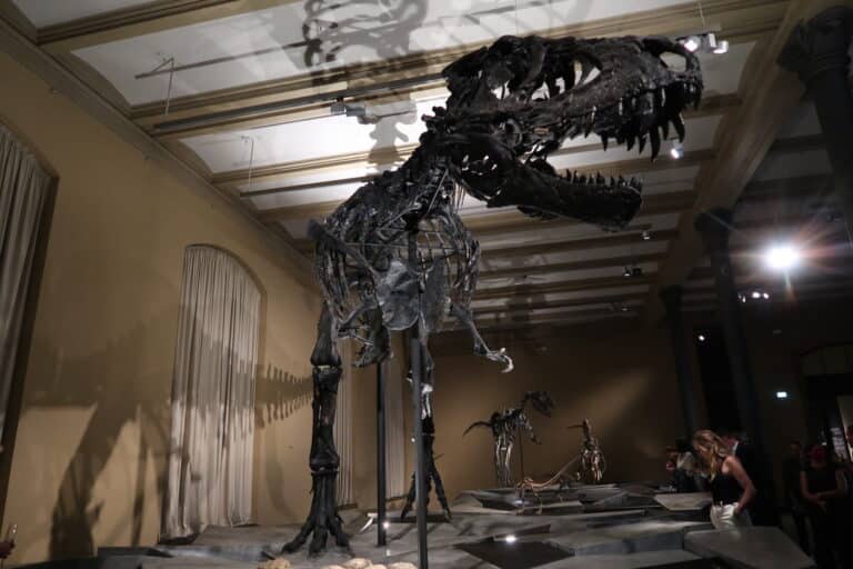 Besucht die besten Museen in Berlins Mittelpunkt