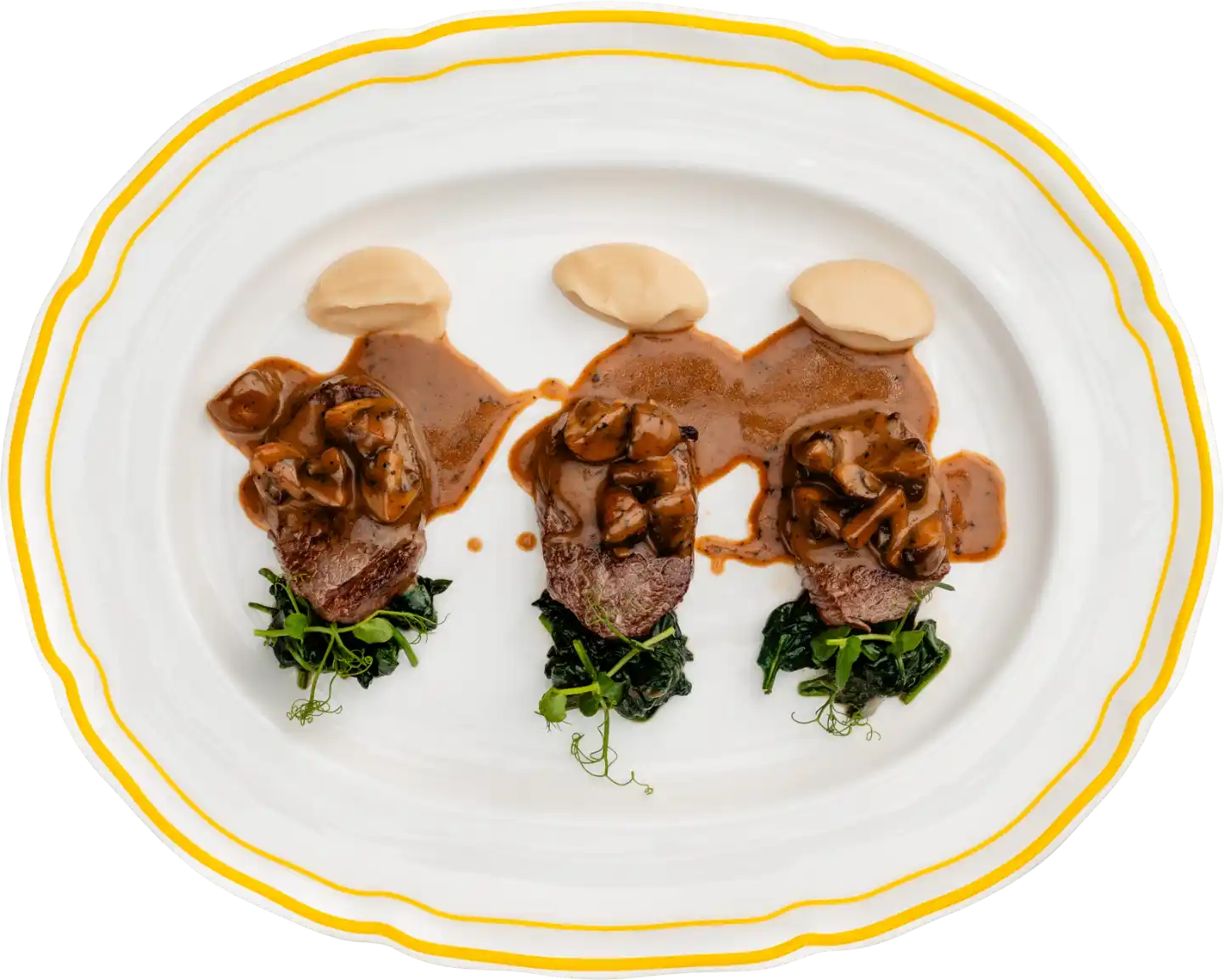 Planted steak - Berliner Fernsehturm